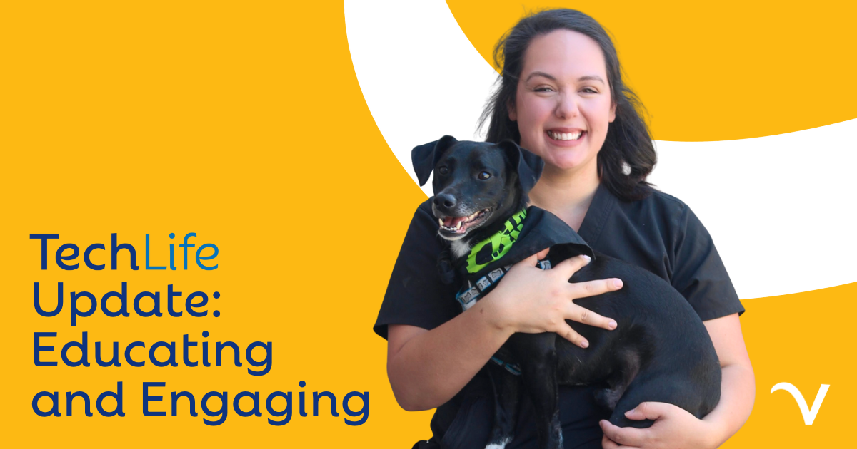 Veterinary Technician | Career Development for Veterinary Technicians